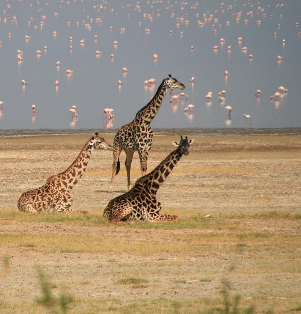 Day Trips – Nguzo Travel Experience